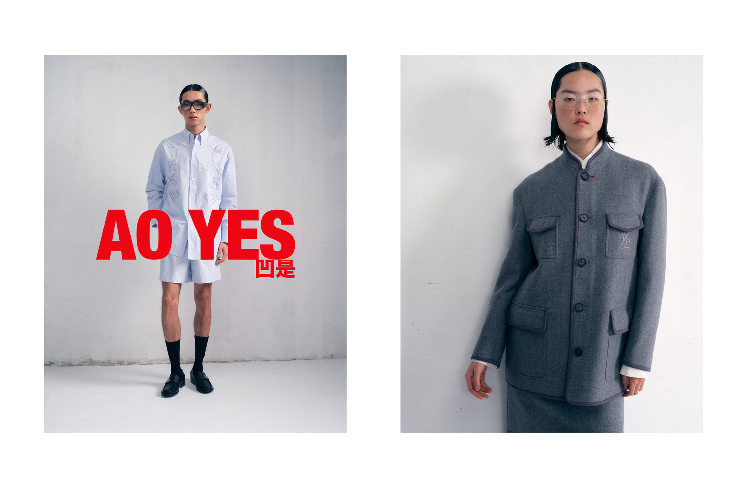 AO YES official website